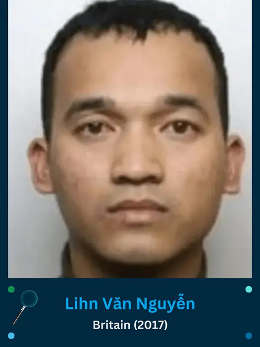 Lihn Van Nguyen — The Suitcase Detective